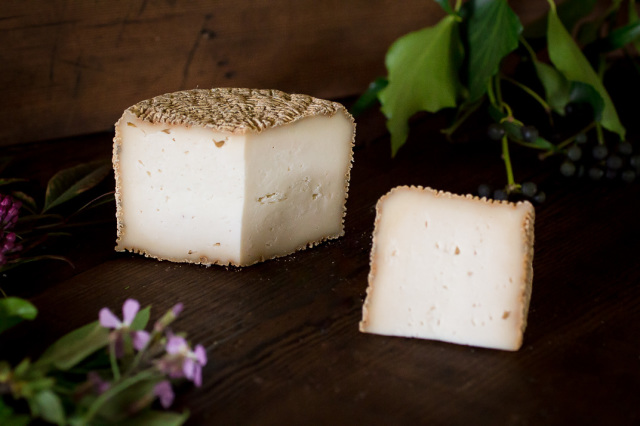 California Cheese Portraits With Gypsy Cheese Company – Miss Cheesemonger