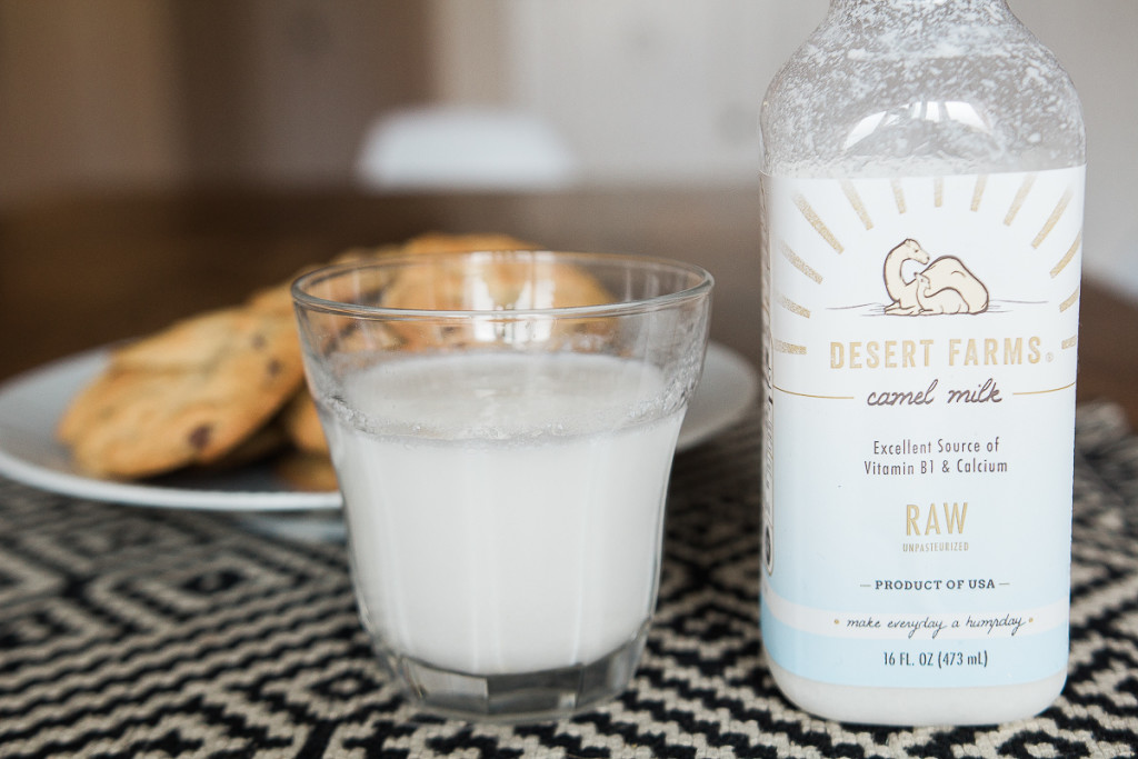 Tasting Camel Milk || Déguster Du Lait De Chameau – Miss Cheesemonger